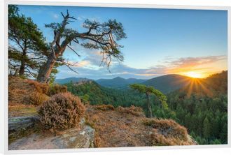 artboxONE Poster mit weißem Rahmen 90x60 cm Natur Morgens im Pfälzerwald - Bild Rheinland Pfalz Felsenland Haferfels