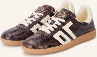 Back70 Back 70 Sneaker Cloud braun