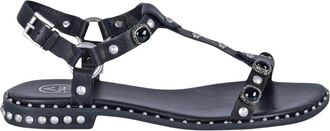 Ash Ash, Femme, Chaussures, Noir, Taille: 40 EU Podium Sandales