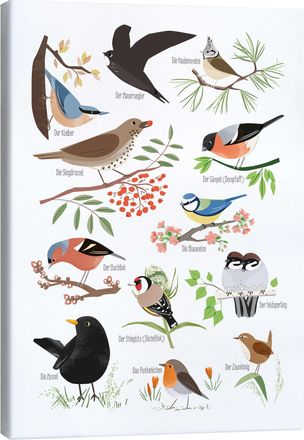 Posterlounge Gartenvögel Leinwandbild von Sandy Lohß 50 x 70 cm Weiß Wandbilder Wanddeko