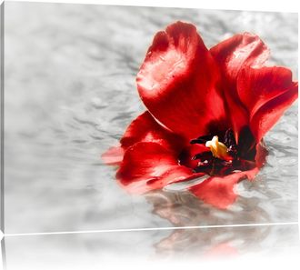 Pixxprint kleine Mohnbl&uuml;te im Wasser, Gr&ouml;&szlig;e: 60x40cm, Leinwandbild, fertig gespannt, Wandbild, Dekoration, Kunstdruck, kein Poster