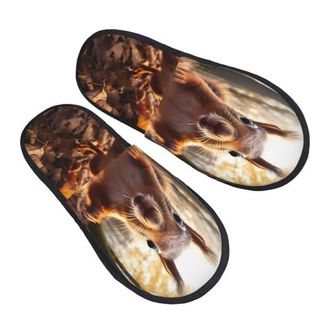 Generic Accueil Pantoufles &Eacute;cureuil Portative Slippers Antid&eacute;rapant Chausson Hotel Pour Int&eacute;rieur Camping H&ocirc;tel L