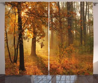Abakuhaus Herbst Rustikaler Gardine, Misty Herbstwald, Schlafzimmer Kräuselband Vorhang mit Schlaufen und Haken, 280 x 225 cm, Orange Braun Grün