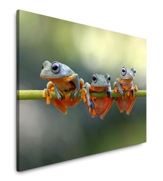 Paul Sinus Art Fr&ouml;sche auf St&auml;ngel 60 x 90 cm Inspirierende Fotokunst in Museums-Qualit&auml;t f&uuml;r Ihr Zuhause als Wandbild auf Leinwand in