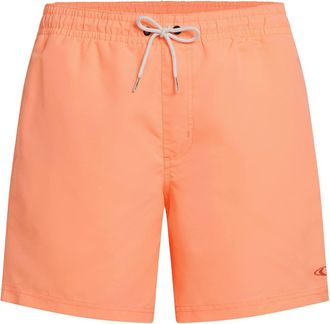 O'Neill Badeshorts Vert