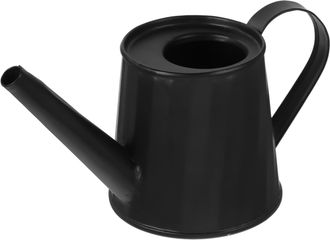 BESTONZON Mini gießkanne für Kleine Pflanzen aus Verzinktem Eisen Tragbarer Blumentopf wasserkessel mit Langem Auslauf Ergonomischer Griff Vielseitig als Deko u