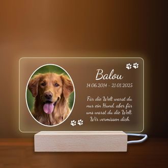 Indigos UG LED Lampe personalisiert - Gedenktafel - quer, Bild oval - Haustier, Hund, Katze - Wunschbild, Wunschtext - personalisierte Lampe - Geschenk, Familie 