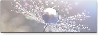 Paul Sinus Art Wandbild auf Leinwand 120x40cm Pusteblume mit Wassertropfen