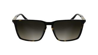 Calvin Klein Mens Sunglasses CK25505S - Havana with Gradient Brown Lens