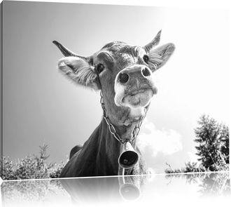 Pixxprint Lustiges Portrait Einer Kuh Kunst B&W, Größe: 100x70cm, Leinwandbild, fertig gespannt, Wandbild, Dekoration, Kunstdruck, kein Poster