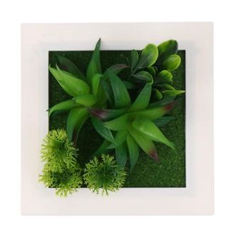 Yardwe 1 PC Plante Cadre Photo D&eacute;coration pour La Maison Cadres DAffiches Plantes Grasses De Pendaison De Cr&eacute;maill&egrave;re Bricolage 3D Cadre Plante De Pendaison 