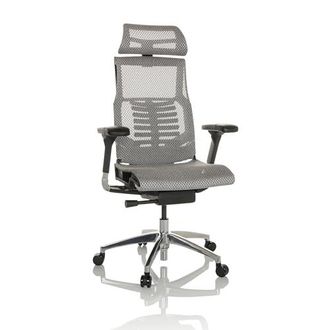 hjh OFFICE Chaise de Bureau Professionnelle POFIT GEN2 Filet Chaise pivotante Ergonomique avec Soutien Lombaire Flexible, Gris Clair, 652287