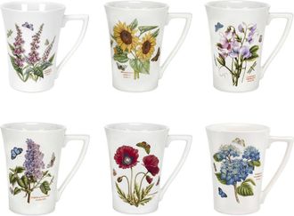 Royal Worcester Botanic Garden Mandarine 6er-Pack Tassen, Keramik, 284 ml, 0,28 l, 11,5 cm, 9 cm hoch, Spülmaschinenfest, Mikrowellengeeignet, Gefriergeeignet, Ovenfe