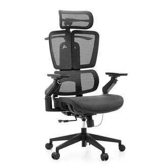 hjh OFFICE B&uuml;rostuhl Ergo U2 Pro3 - Profi Drehstuhl aus Nylon-Netz - H&ouml;henverstellbare Lordosenst&uuml;tze - Stufenlose Sitztiefenverstellung - 6D Armlehnen - Schwarz