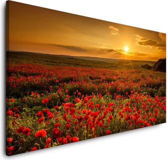 Paul Sinus Art Mohnfelder 120x 60cm Panorama Leinwand Bild XXL Format Wandbilder Wohnzimmer Wohnung Deko Kunstdrucke