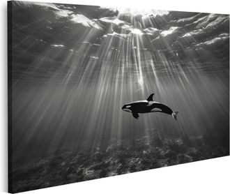 Islandburner Prime Bild auf Leinwand Orca Unter Wasser In Sonnenstrahlen Bilder Wandbilder Poster