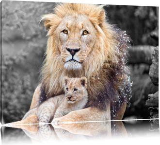 Pixxprint prächtiger Löwe kuschelt mit Jungtier B&W, Größe: 80x60cm, Leinwandbild, fertig gespannt, Wandbild, Dekoration, Kunstdruck, kein Poster