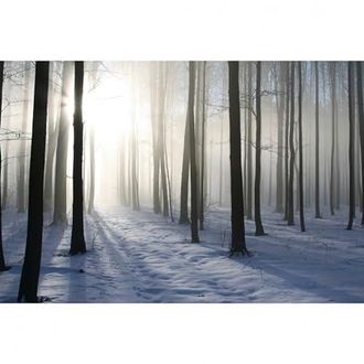 Scenolia Wandbild Acrylglas Wintermotiv 60x40 cm | Wandbild Qualität | 100% Made in Frankreich