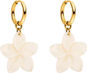 Purelei Shiny Plumeria Creole