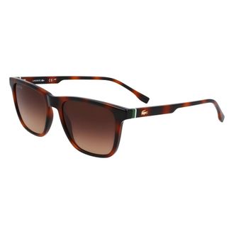 Lacoste Homme, Accessoires, Brun, Taille: ONE Size Lunettes de soleil Style 214