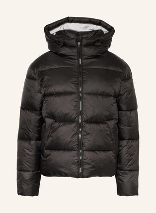 Paul Paul Steppjacke Mit Dupont Sorona-Isolierung schwarz