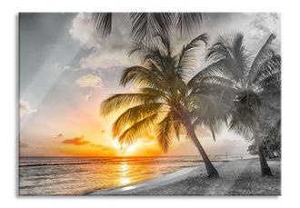 Pixxprint Glasbild, Wandbild aus Echtglas, Palmen im Sonnenuntergang auf Barbados B&W Detail, 100x70 cm, inkl. Aufhängung und Abstandshalter