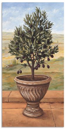 Artland ARTland Wanddeko Wandbild Alu Verbundplatte für Innen & Outdoor Bild 50x100 cm Toskana Oliven Baum Italien Landschaft Mediterran Botanik Terracotta T4