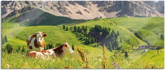 Pixxprint Glasbild Panorama, Wandbild aus Echtglas, Alpenszene mit Kühen auf grüner Wiese, 120x50 cm, inkl. Aufhängung und Abstandshalter