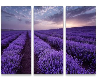 Paul Sinus Art Leinwandbilder | Bilder Leinwand 130x90cm Lavendel Feld