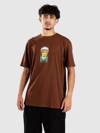 Santa Cruz Kendall EOTW Front T-Shirt sepia brown