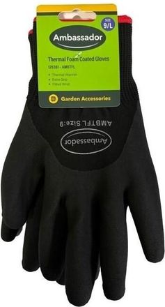 Ambassador L ST13013