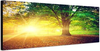 Paul Sinus Art Landschaft Sonne mit altem Baum 150x50cm Breitbild als Panorama auf Leinwand und Keilrahmen fertig zum aufhängen - leuchtende Farben. Qualität aus Deu