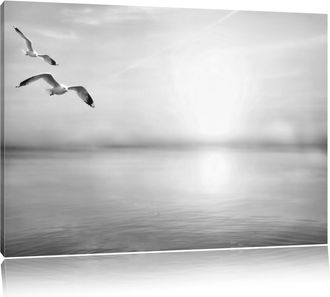 Pixxprint Möwen am Meer bei Sonnenaufgang, Größe: 80x60cm, Leinwandbild, fertig gespannt, Wandbild, Dekoration, Kunstdruck, kein Poster