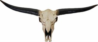 Hhg Neuwertig] Deko Schädel 132cm HHG 118, Polyresin Stier Bulle Longhorn Kopf Trophäe, In-/Outdoor naturfarben