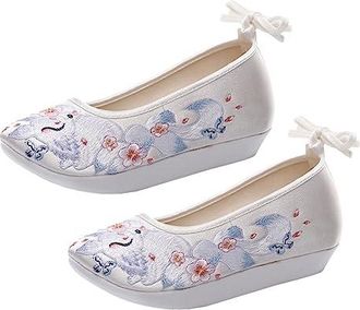 Frcolor Chaussures De Danse Soie pour Femmes Style Ancien Brodé Chaussures De Performance Uniques avec Semelle Antidérapante