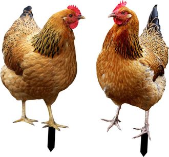 Yardwe Schwarzes Dekorativer Gartenstecker 2 St&uuml;ck H&uuml;hner Gartendekoration Au&szlig;enpf&auml;hle Gartenhenne Einsatz Rasenpfahl Acryl Requisiten Huhn Simuliertes Tierm