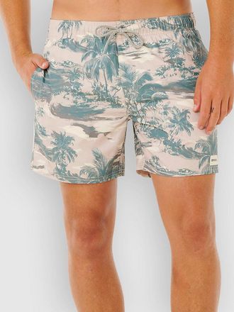 Rip Curl Dreamers Volley Boardshorts fatigue