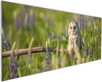 Wallario K&uuml;chenr&uuml;ckwand aus Glas 125 x 50 cm, Motiv: Kauz im Bl&uuml;tenmeer | Spritzschutz abwischbar & pflegeleicht