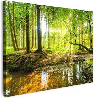 MuchoWow &copy; Impression sur Toile Decoration Murale Peinture 80x60 cm Tableaux Decoratifs Muraux D&eacute;coration Chambre For&ecirc;t - Paysage - Eau - Arbre - Soleil - Vert
