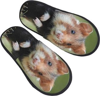 Generic Pantoufle Maison Hamsters Sur LHerbe Chaudes Pantoufles Antid&eacute;rapantes Chaussons Maison Confortable Hiver Chaussures Chaudes Pour Salon H&ocirc;tels Chambre