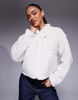 The North Face Extreme Pile - Jacke aus Fell-Fleece in Wollweiß mit durchgehendem Reißverschluss