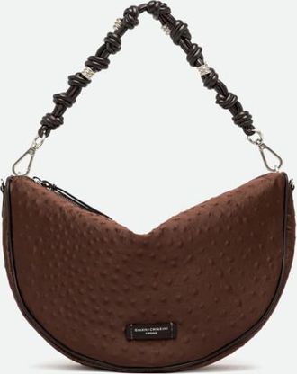 Gianni Chiarini CLEO