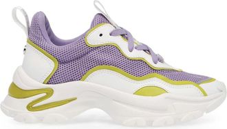 Steve Madden Femme, Chaussures, Multicolore, Taille: 38 1/2 EU Scarpe Stringate Profilo Basso