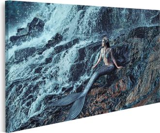 Islandburner Bild auf Leinwand Echte Meerjungfrau Ruhenden Ozean Ufer Silber Schwanz Körper Bedeckt Schuppen Kr Bilder Wandbilder Poster HVUR-1K