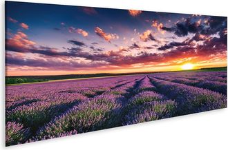 Islandburner Bild auf Leinwand Lavendel Blumenfelder In Endlosen Reihen Bl&uuml;hen Sonnenuntergang Geschossen Wandbild Poster Kunstdruck Bilder