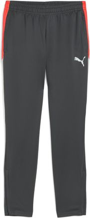 Puma Pantalon dentra&icirc;nement individualLIGA Homme, Accessoires, Gris, XXL