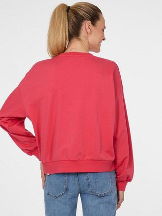 Ragwear Sweatshirt WUSS PATCH aus Baumwollmischung, normale Passform, Langarm, ohne Verschluss