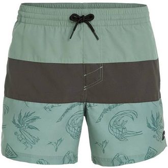 O'Neill Badehose MIX & MATCH CALI BLOCK 15 SWIM SHORTS