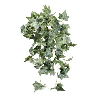 Creativ Green k&uuml;nstlicher Efeu H&auml;nger 70cm I Efeu k&uuml;nstlich mit naturgetreuen Bl&auml;ttern in gr&uuml;n-grau I hochwertige H&auml;ngepflanze k&uuml;nstlich I sch&ouml;ne Kunstpflanze h&auml;nge