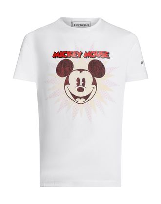 Iceberg DISNEY